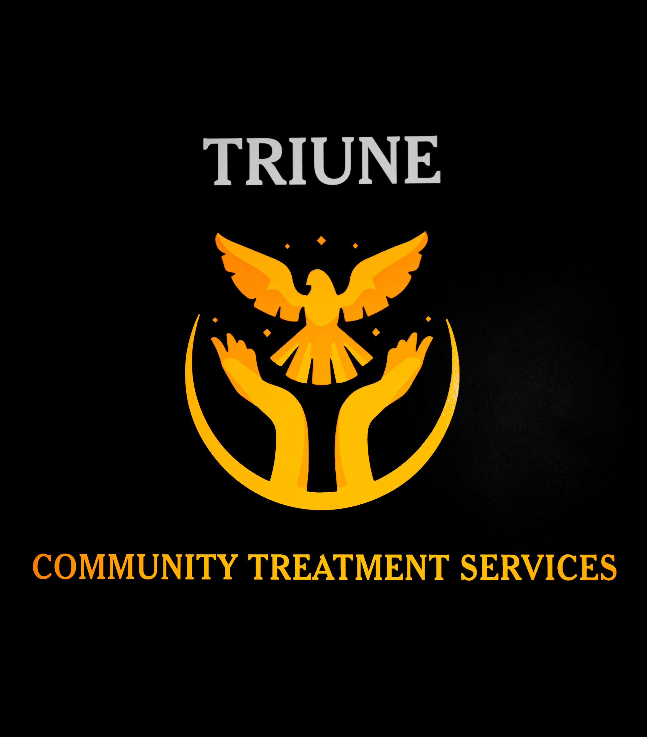 Home - Triune Community Treatment Services